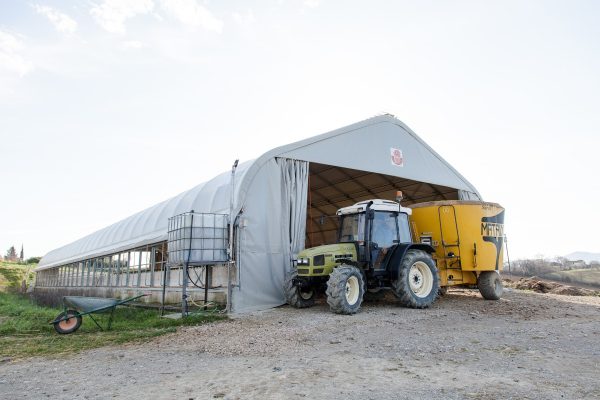 Stalle per Pecore da latte - DUE A | Stalla Ovini e Caprini